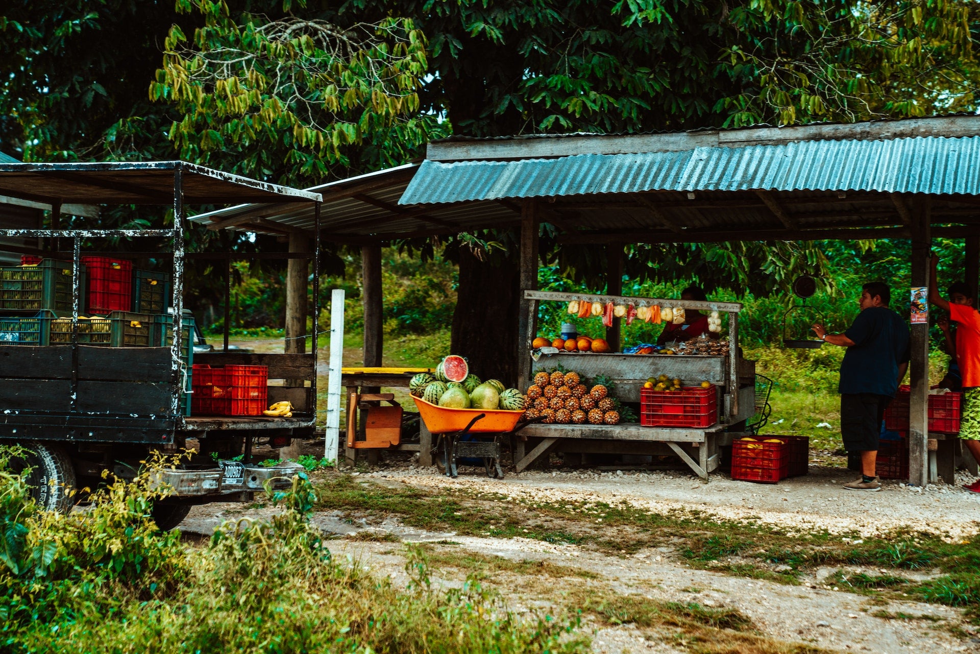 Why We Love Farmstands | Just Vertical