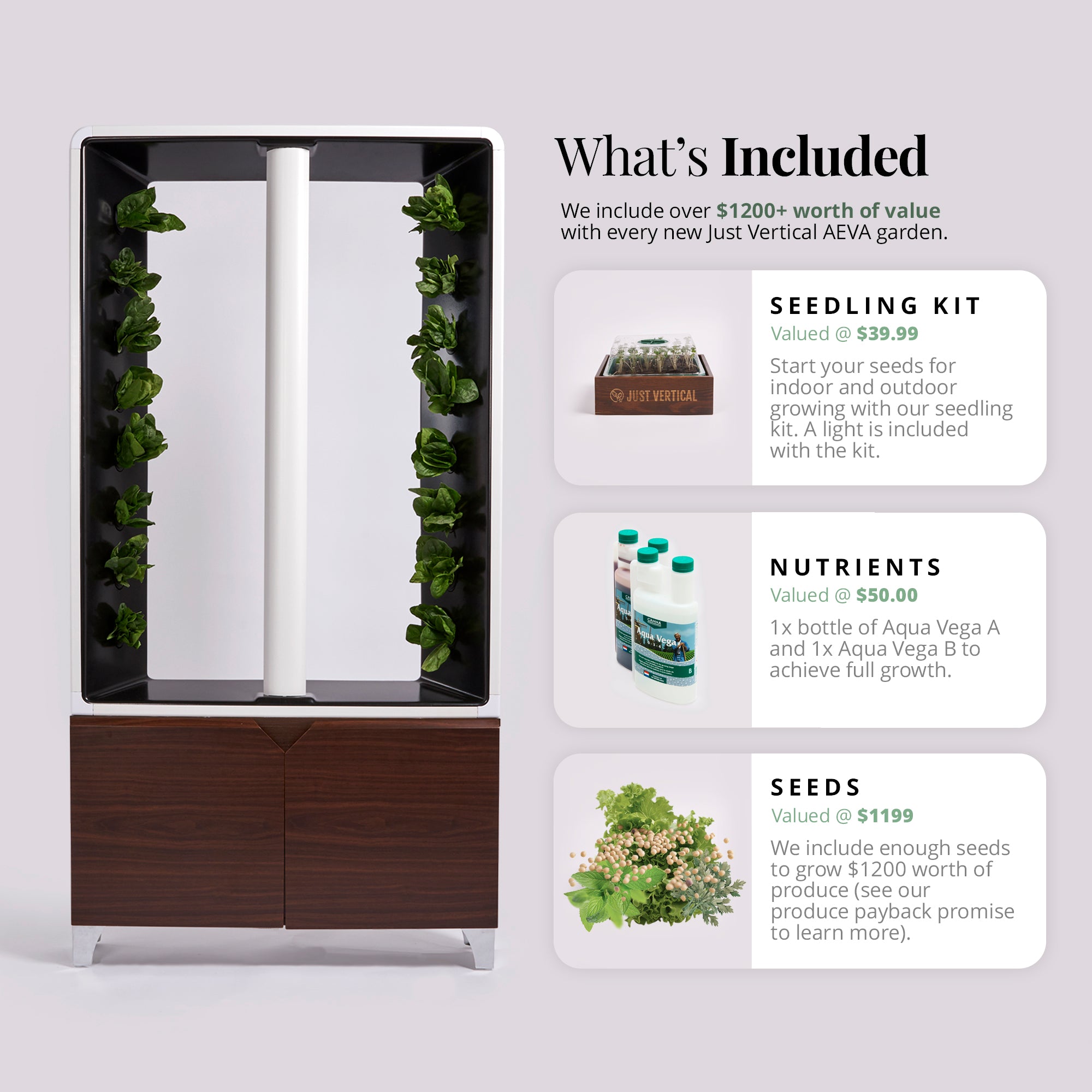 The AEVA Indoor Farm | Just Vertical