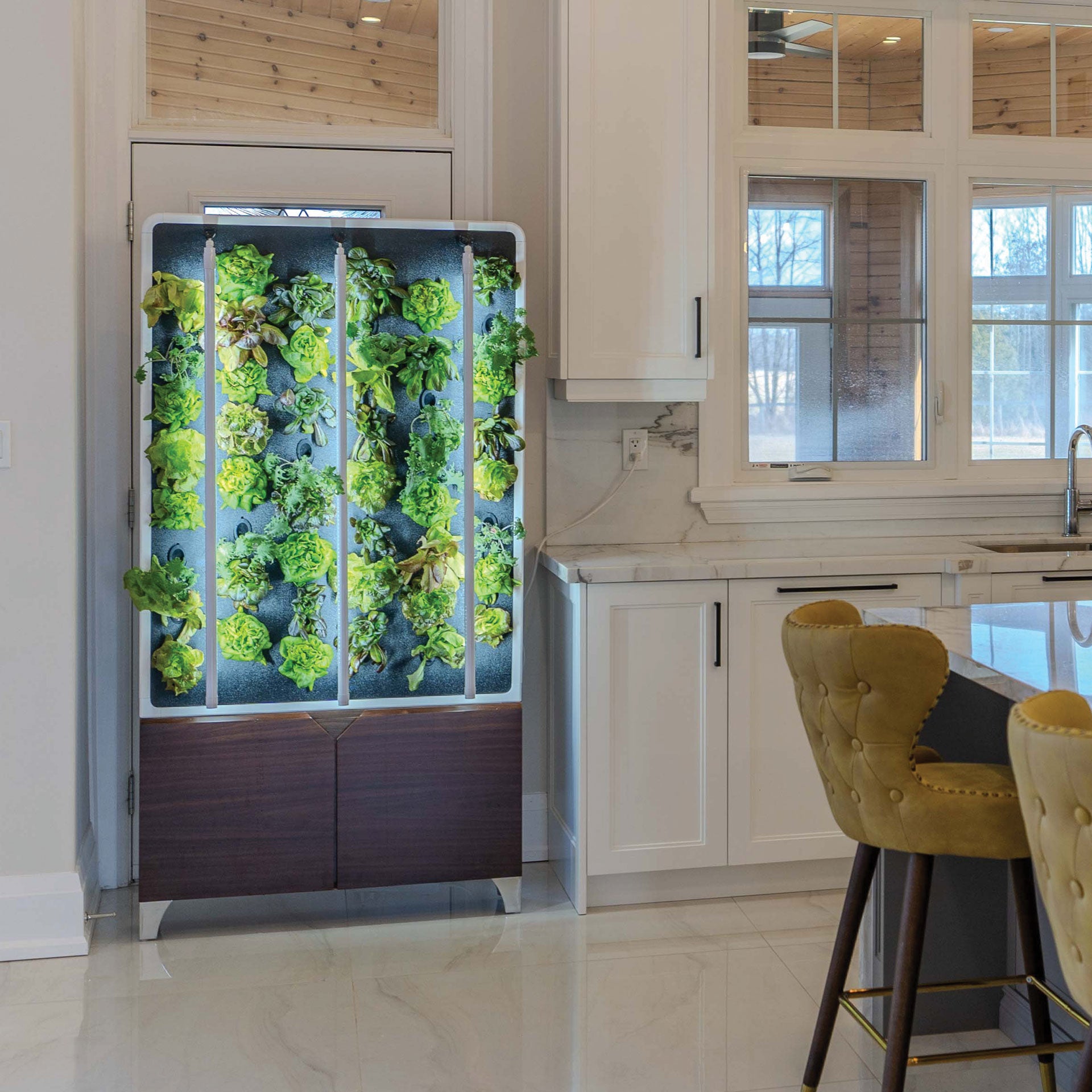 Ecolicious Vertical Planning Wall Forest Lodge ECO House Vertical
