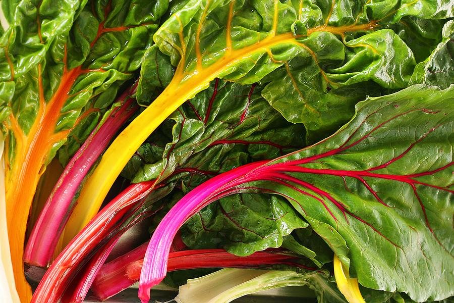 Swiss Chard Celebration Seeds | Just Vertical