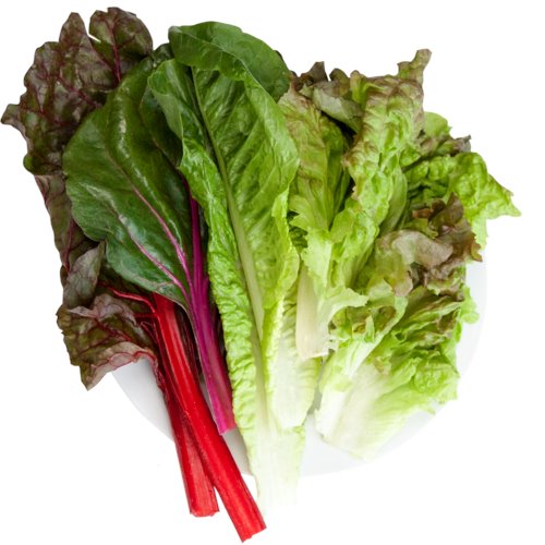 Super Salad Mix Seed Bundle - Grow Fresh Salads | Just Vertical